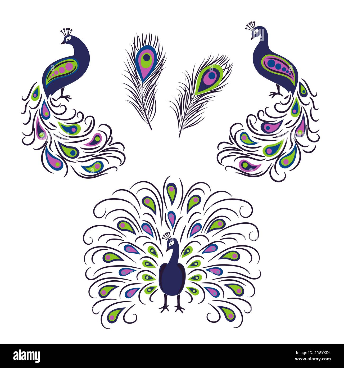 Set of peacocks isolated on white background. Vector illustration Stock ...