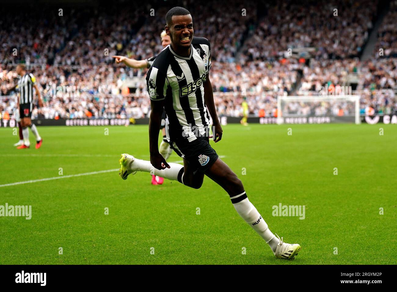 Newcastle United's Alexander Isak celebrates scoring their side's ...