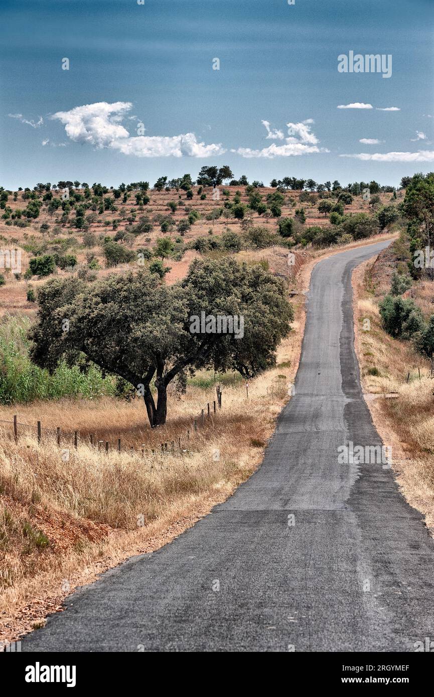 Alentejo plains hi-res stock photography and images - Alamy