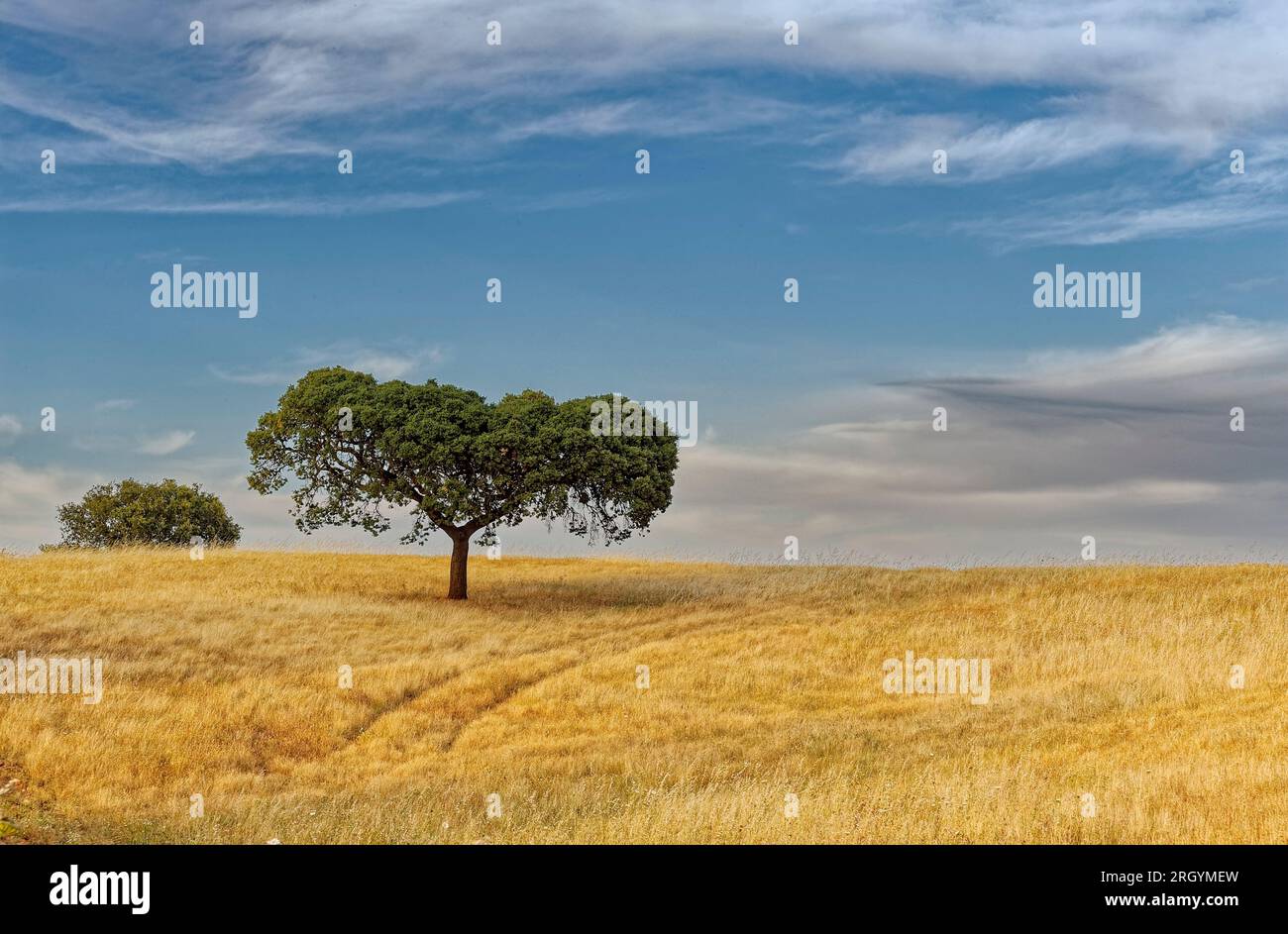 Alentejo landscape in southern Portugal Stock Photo - Alamy