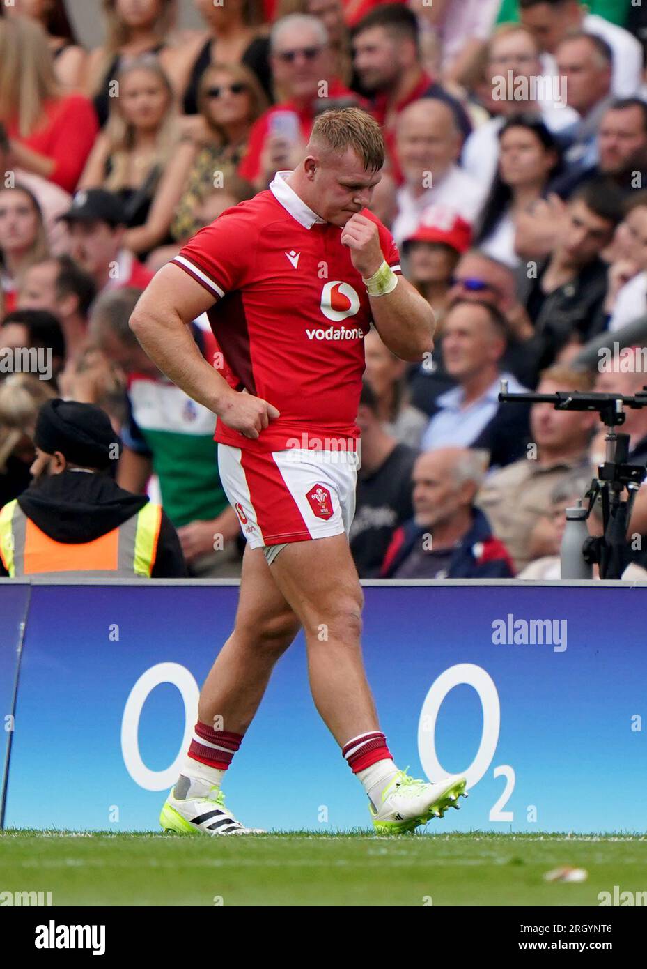 Wales' Dewi Lake leaves the field with an injury during the Summer ...