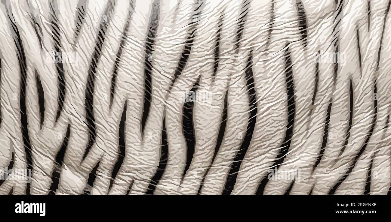 White Tiger Skin Background