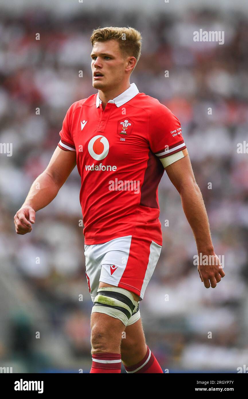 Taine plumtree hi-res stock photography and images - Alamy