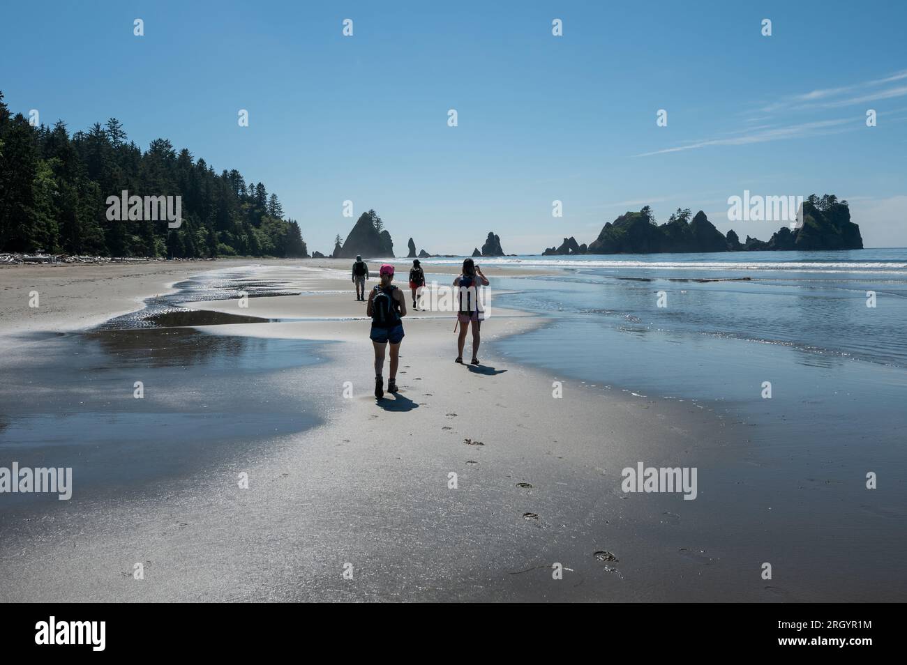 Hikers on Shi Shi Beach Trail in Olympic National Park near Neah Bay ...