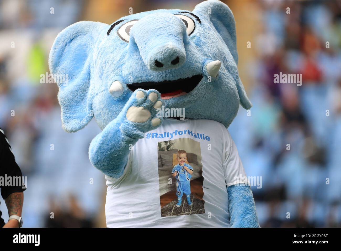Coventry city mascot hi-res stock photography and images - Alamy