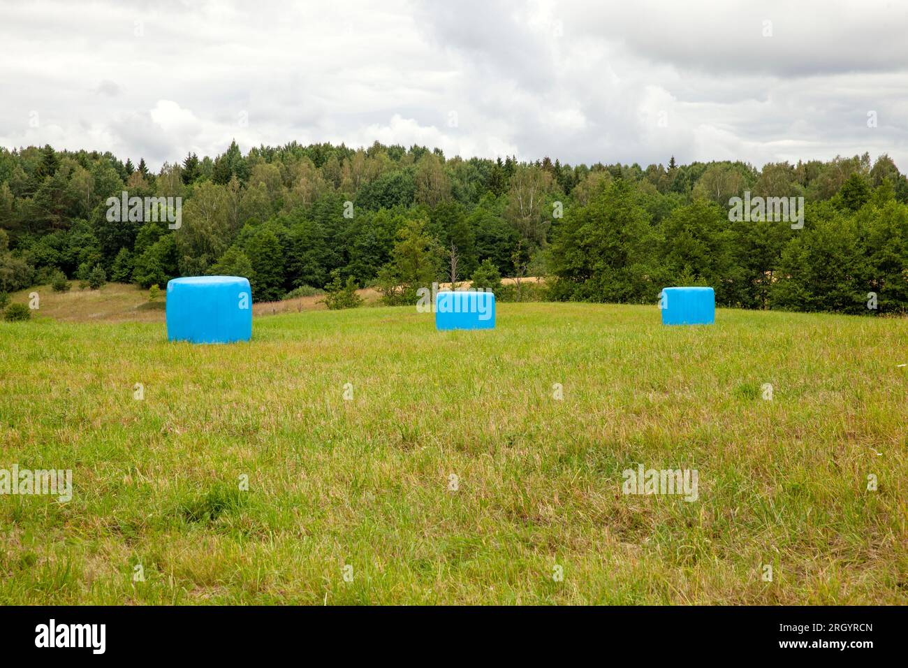 a green grass rack packed in blue packaging during the preparation of ...