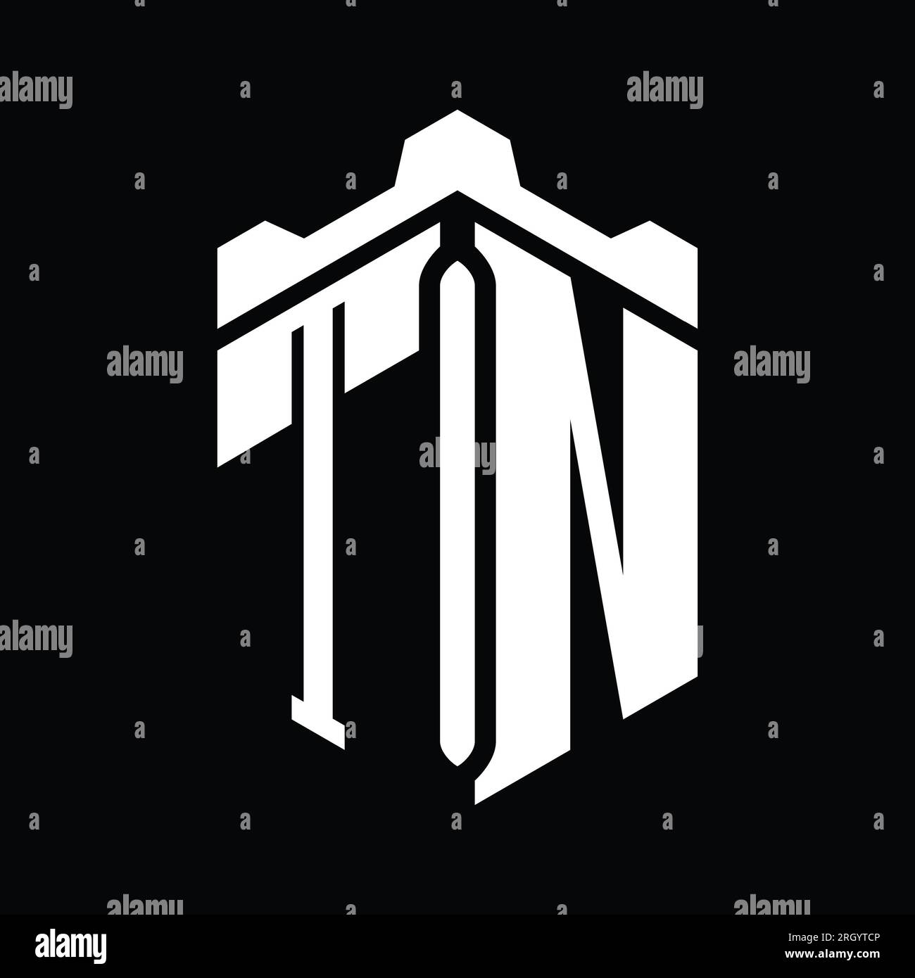 TN Letter Logo monogram hexagon shape with crown castle geometric style ...