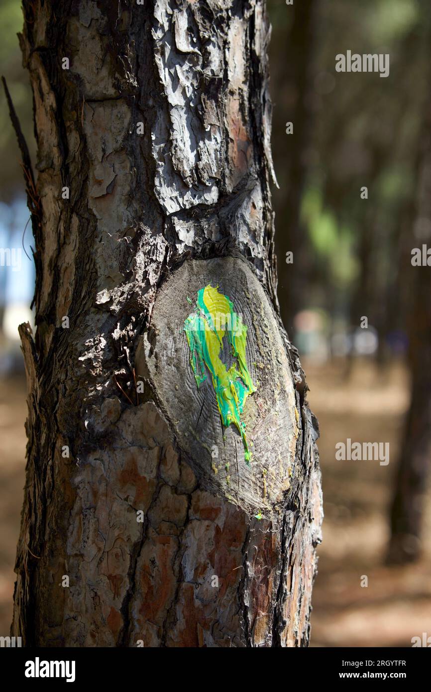 No environmental pollution hi-res stock photography and images - Alamy