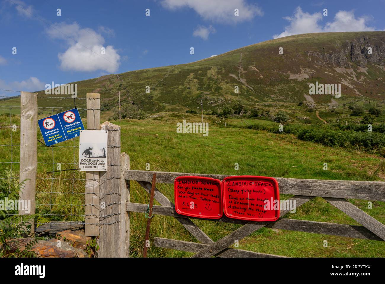 Bilingual Welsh,English signs at Snowdonia National Park,Wales,UK Stock ...