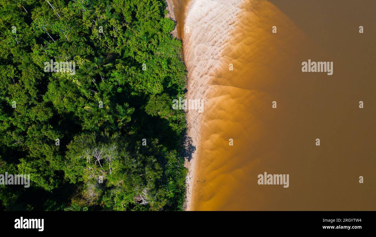 The Amazon rivers in the summer season present white sand beaches ...