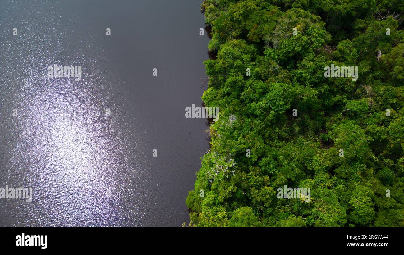 The Amazon rivers in the summer season present white sand beaches ...