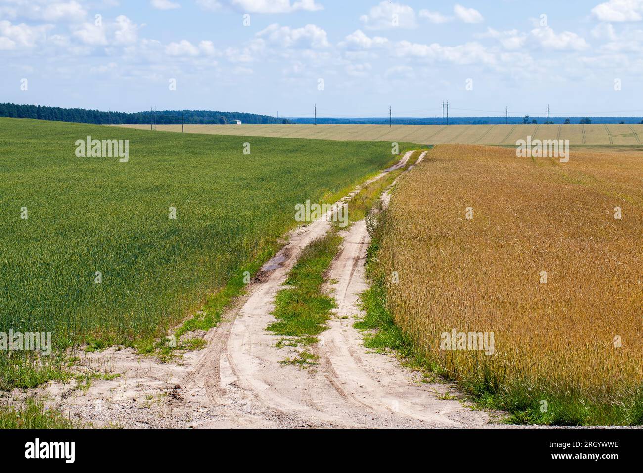 wheel ruts like a highway with a blue sky , a gravel rural highway ...