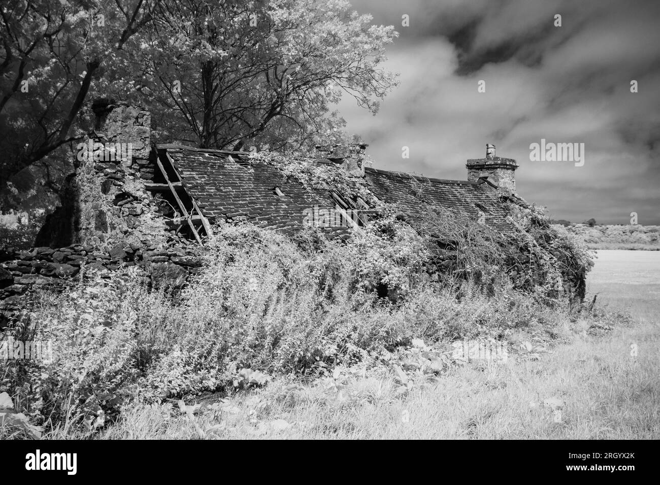 Ruined Cottage in Infra-red Stock Photo - Alamy