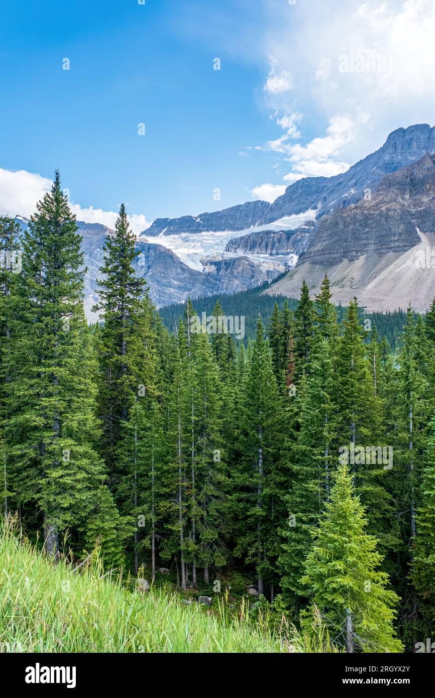 Photograph into a beautiful valley in Banff National Park with its ...