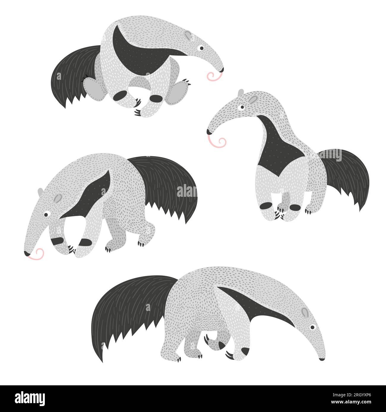 Set of cute ant eaters. Vector illustration Stock Vector Image & Art ...