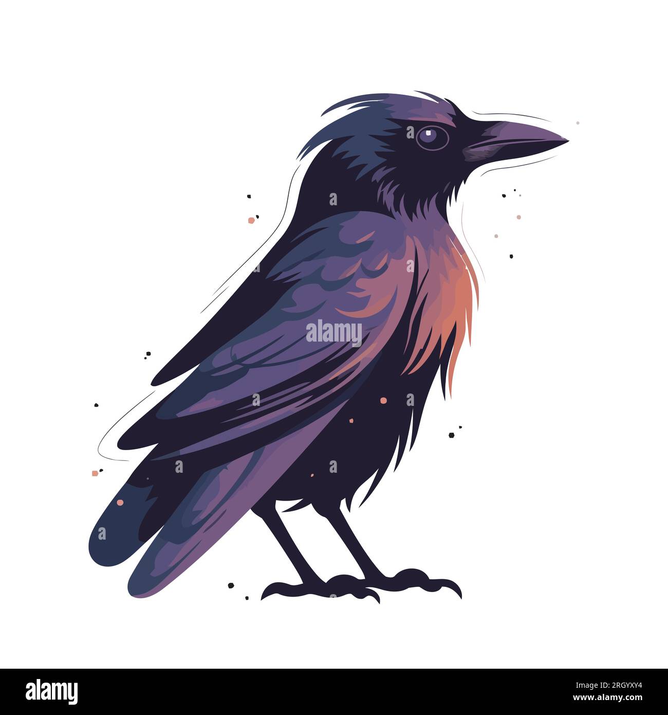 Crow image. Cute crow isolated on white background. Illustration of a ...