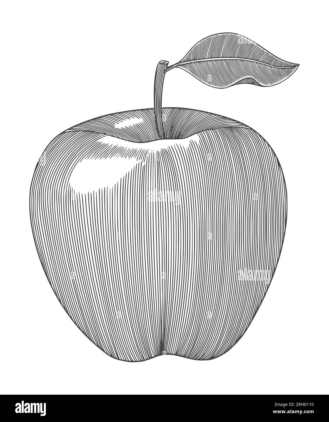 Apple Fruit Hand Drawing Vintage Engraving Style Illustration Stock