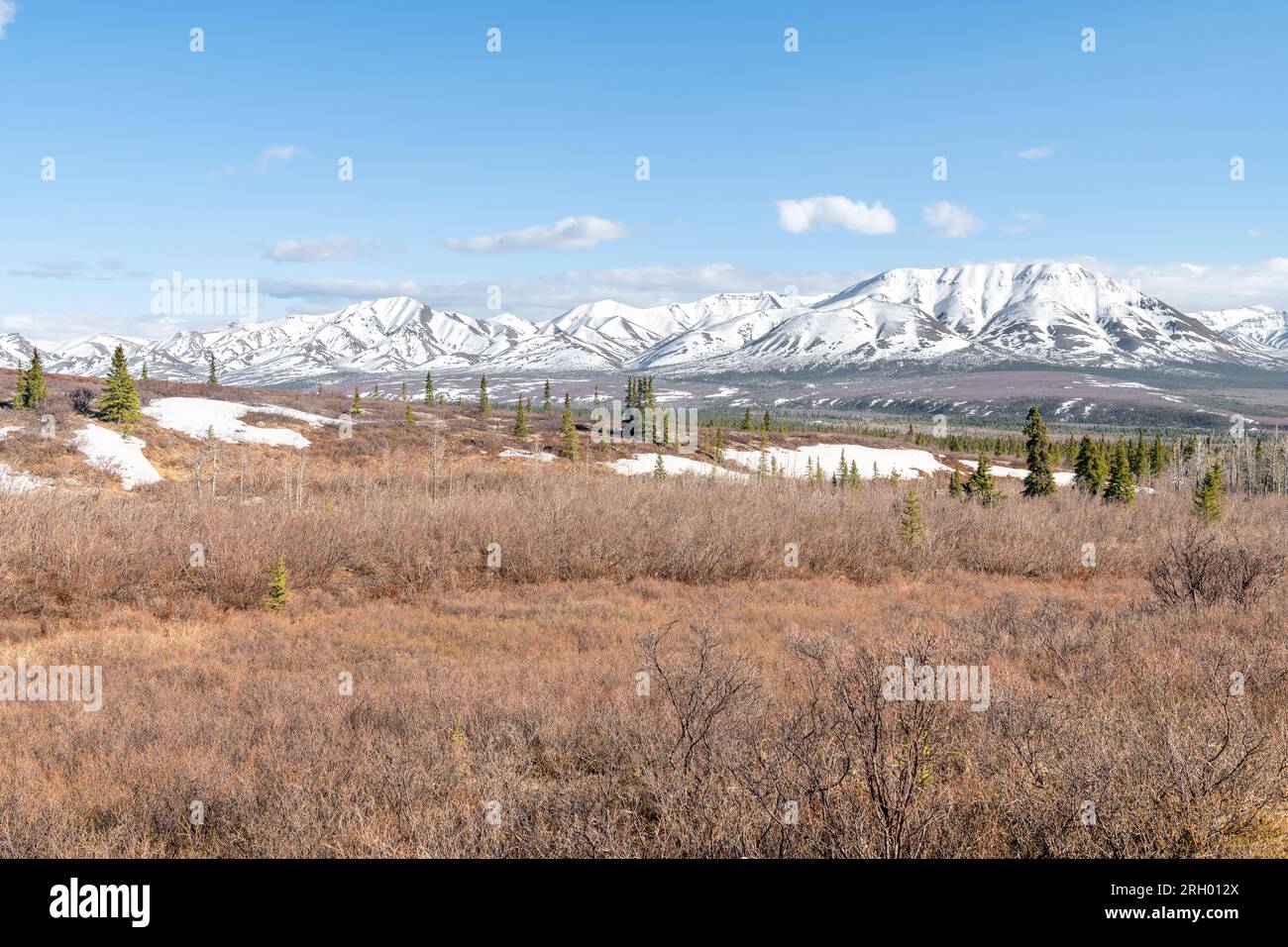 Denali National Park from the Savage River Alpine Trail, Alaska, USA ...