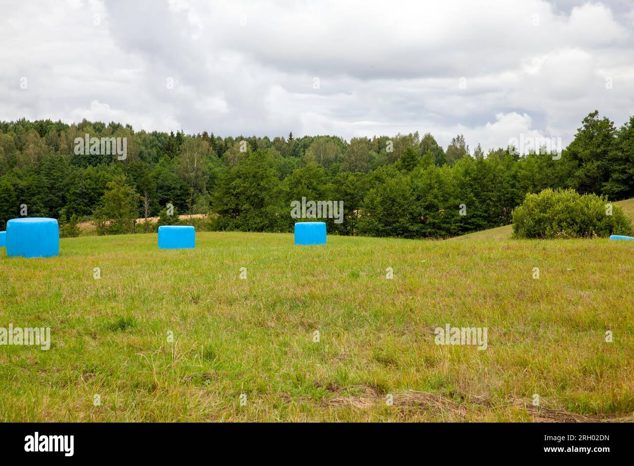 a green grass rack packed in blue packaging during the preparation of ...