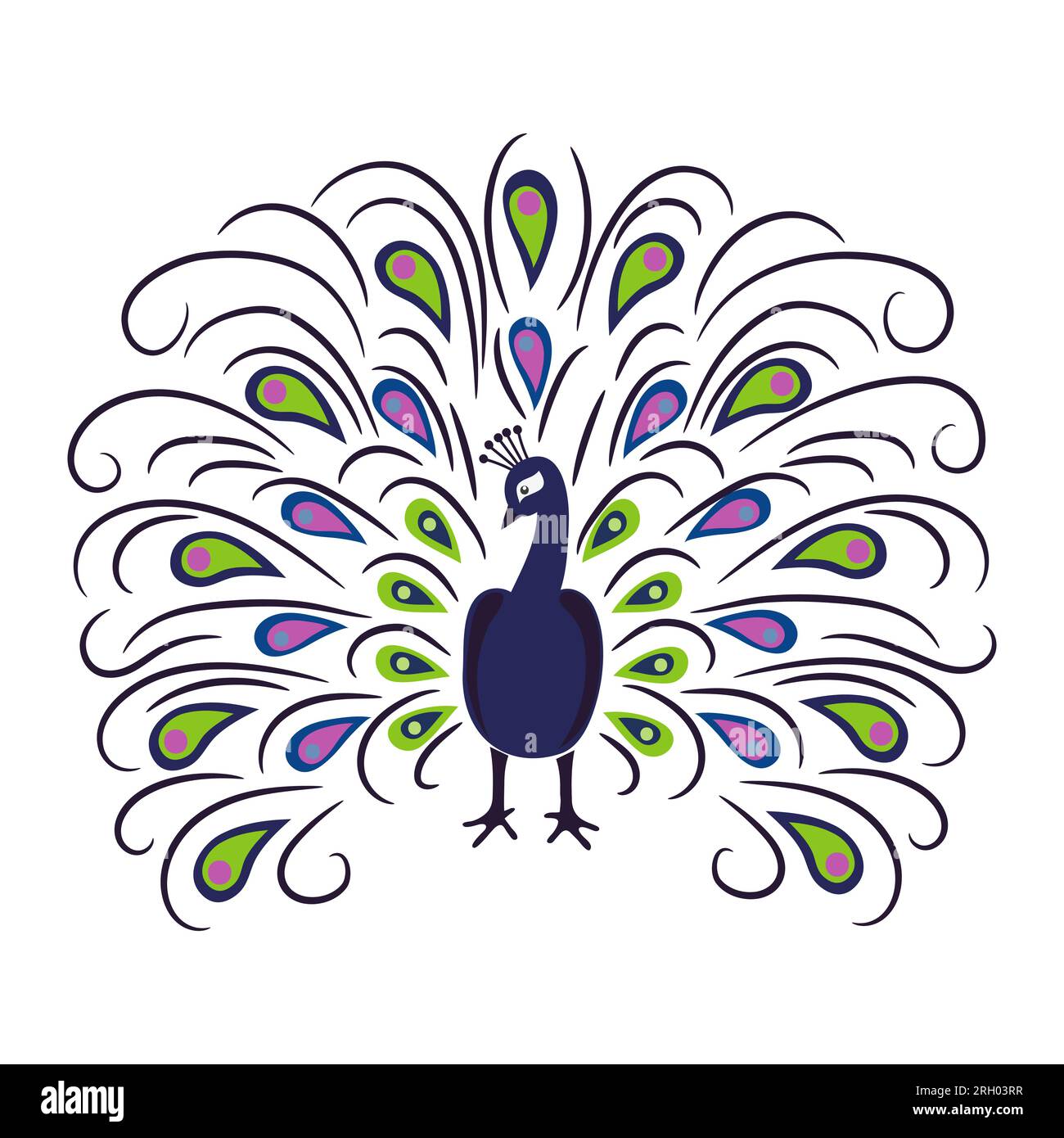 Hand drawn peacock isolated on white background. Vector illustration ...
