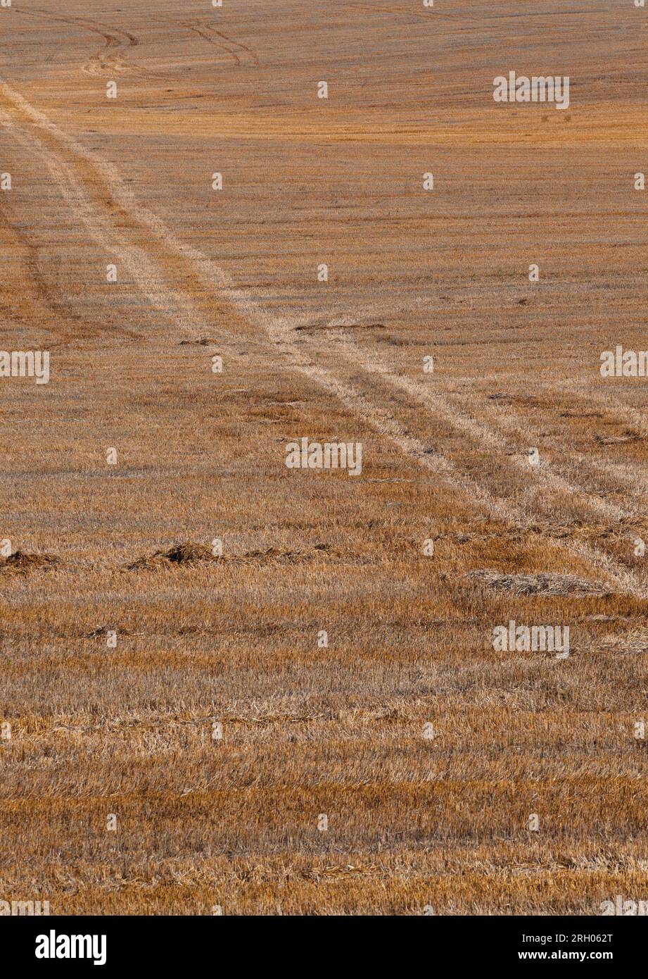 Track from wheels hi-res stock photography and images - Alamy