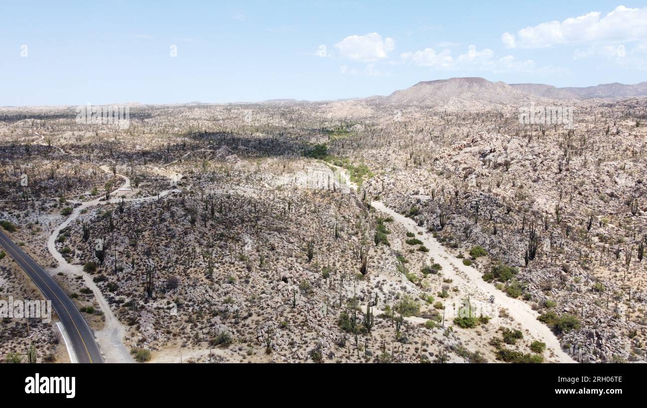 Desert scene in baja california hi-res stock photography and images - Alamy