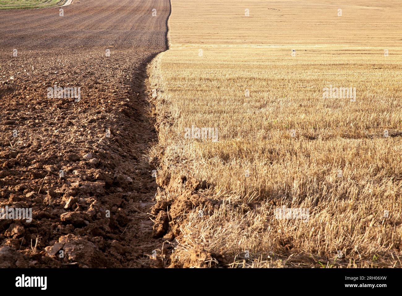 tillage in the agricultural field for planting a new crop , agriculture ...