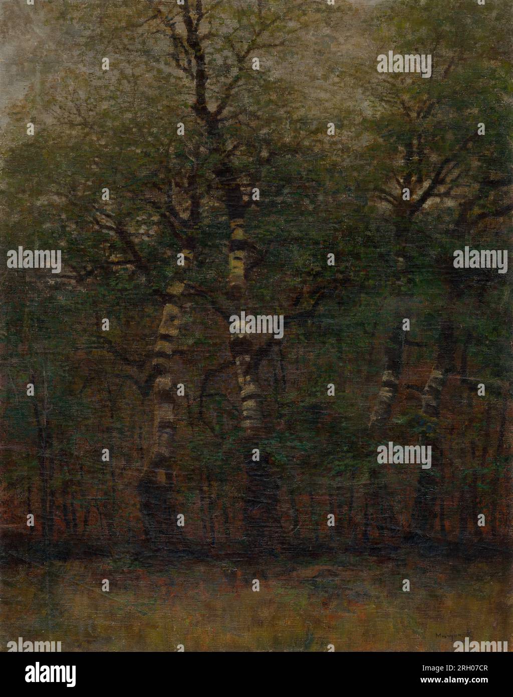 Inside of Birch Forest 1900 by László Mednyánszky Stock Photo - Alamy