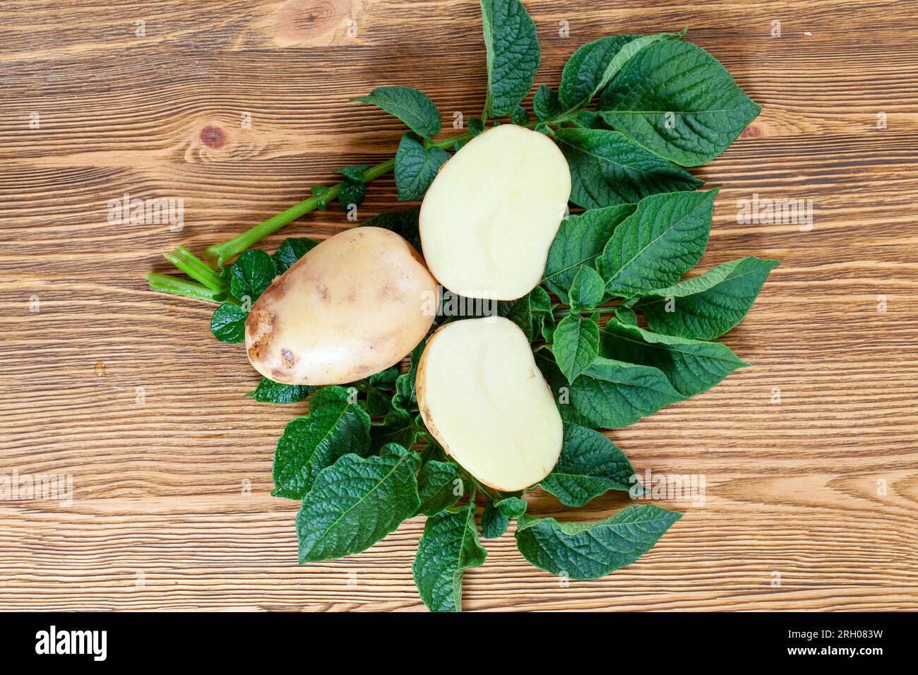 washed recently ripened potatoes on a wooden table, fresh new potato ...