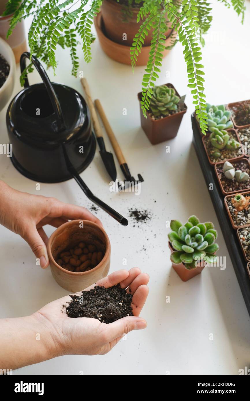 Put into soil hi-res stock photography and images - Alamy
