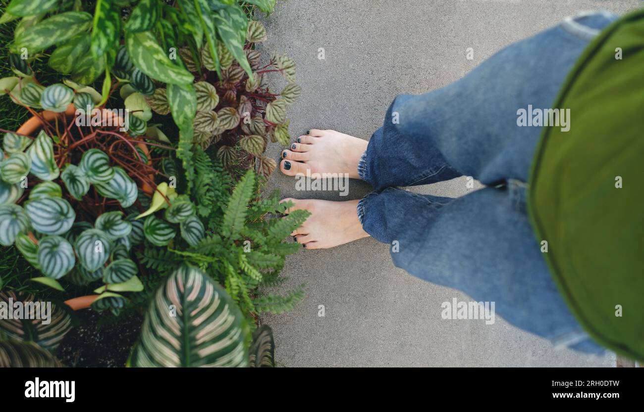 Banner. Woman standing near houseplants outdoors barefoot. Top view. Creative business concept ...