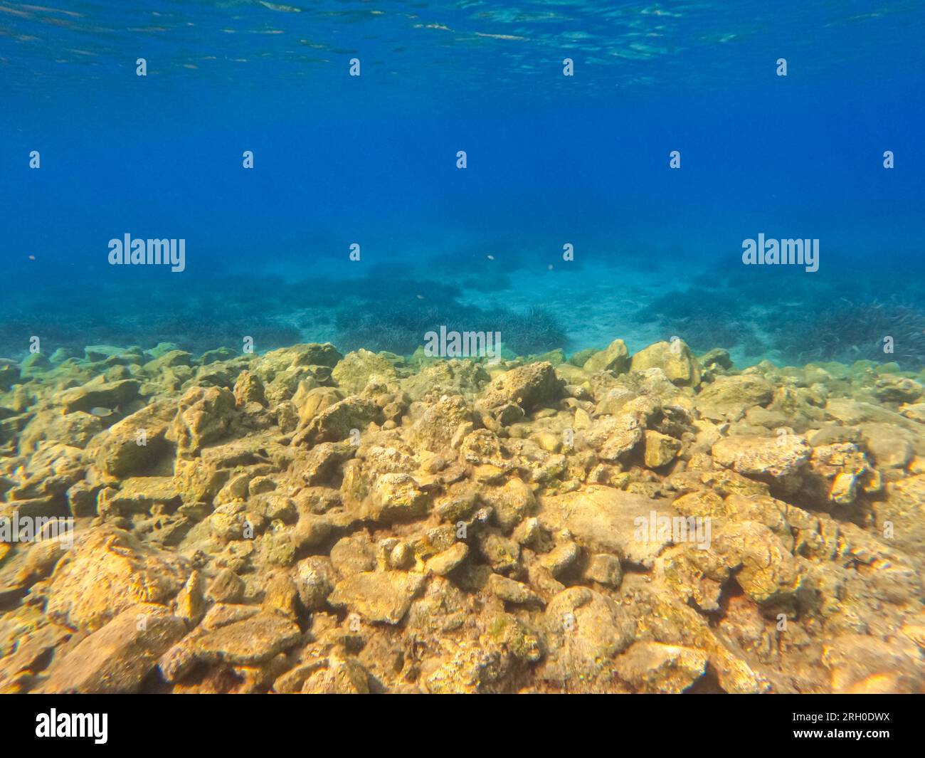 Clean underwater view. Underwater rocky ground Stock Photo - Alamy
