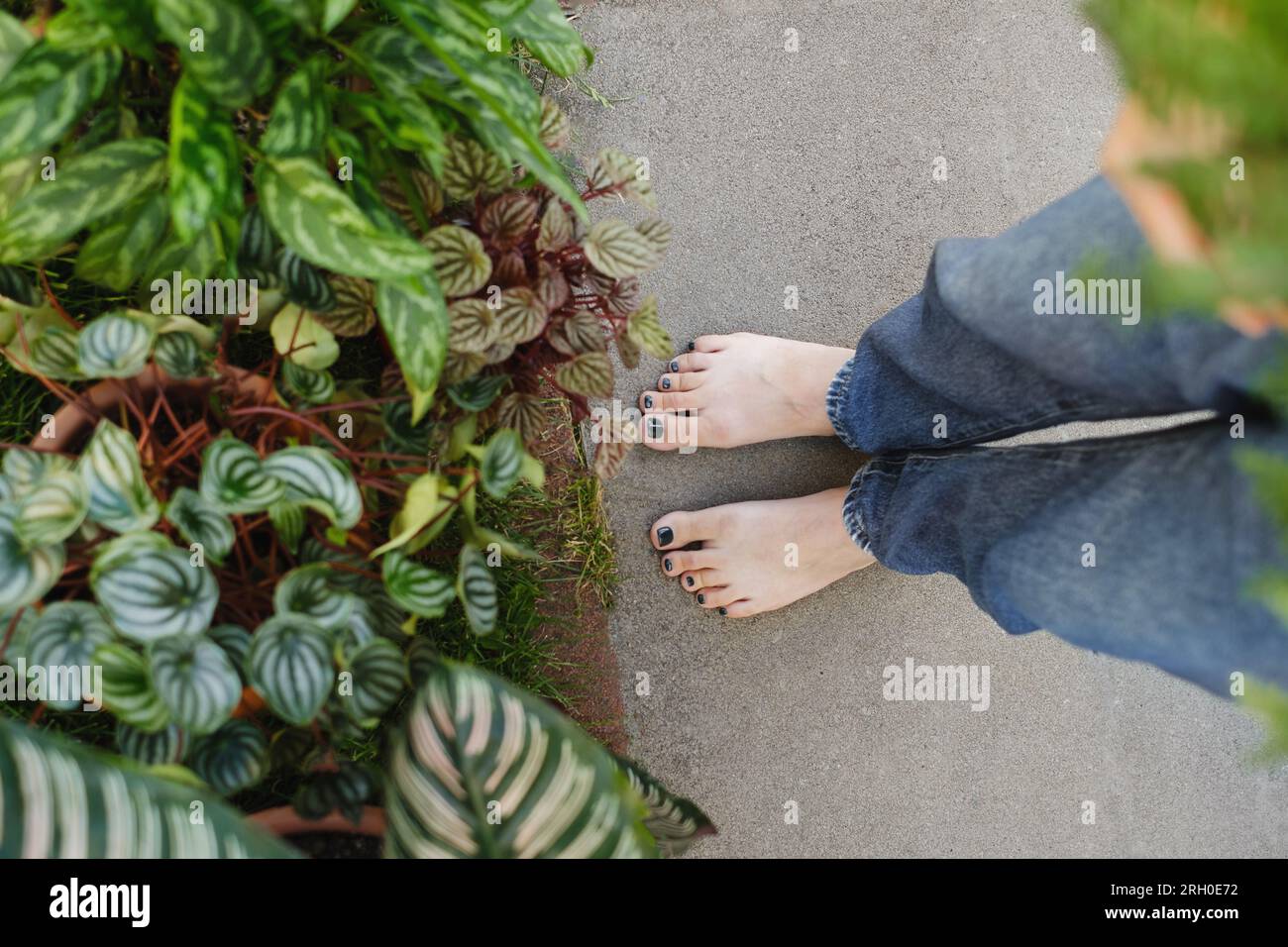 Woman standing near houseplants outdoors barefoot. Top view. Creative business concept ...