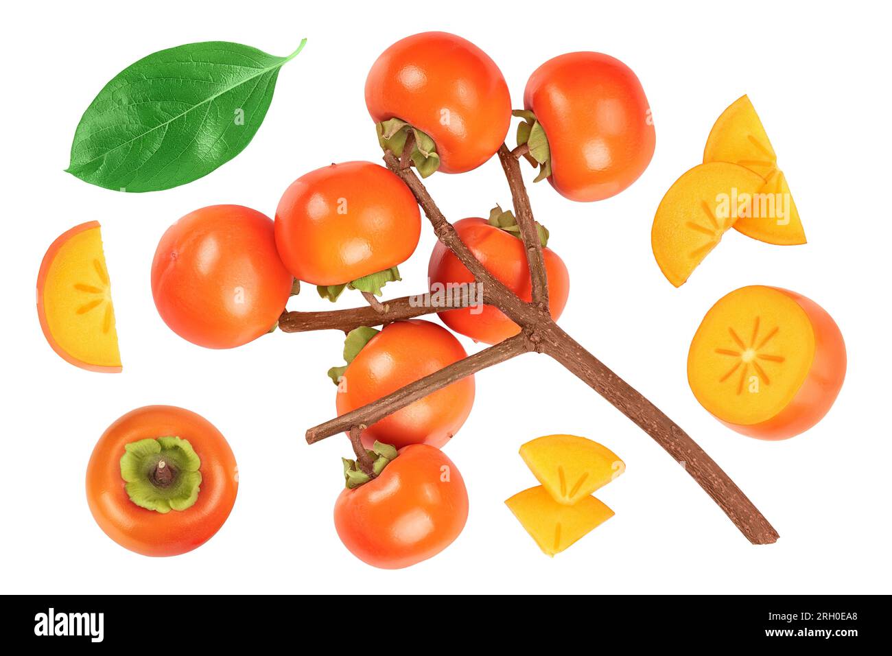 Persimmon fruit on the branch isolated on white background with full ...