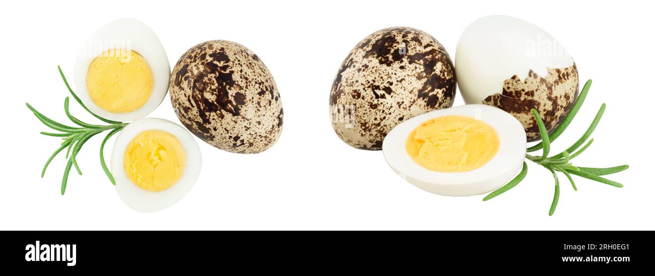 boiled quail egg isolated on white background with full depth of field ...
