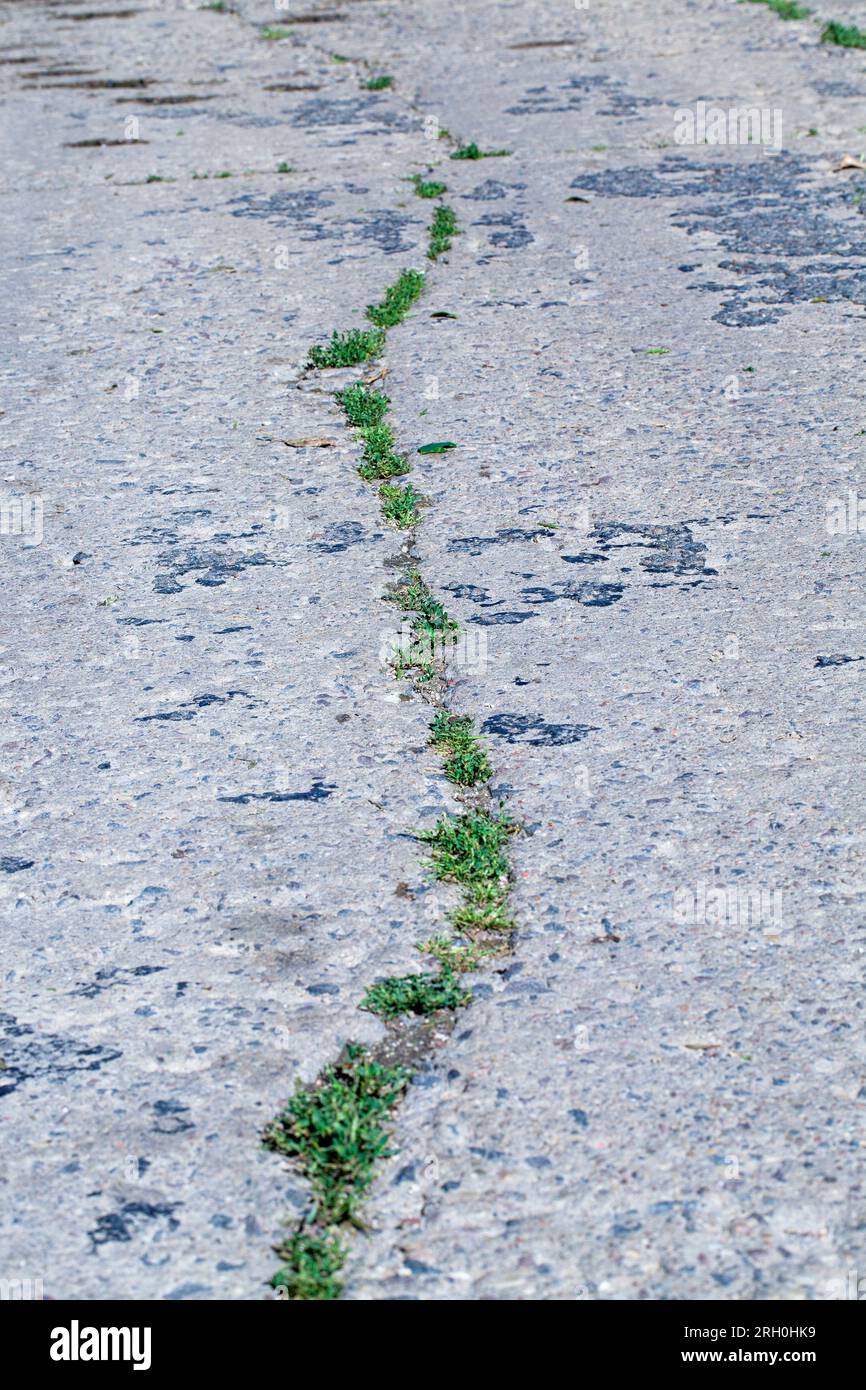 details of an asphalt road with cracks and holes, part of the ...