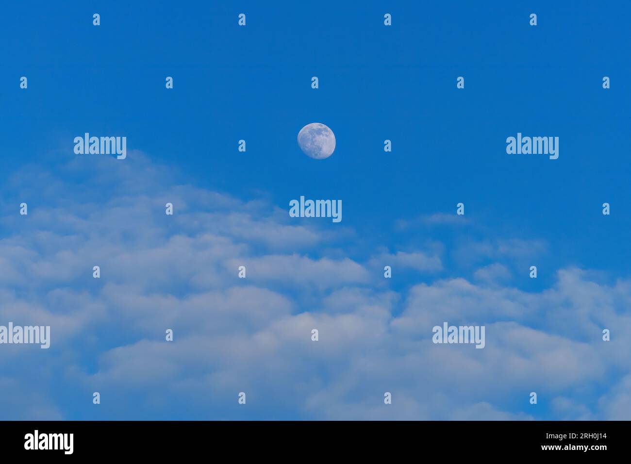 Luminous Moon during the day against the blue sky with cumulus clouds Stock Photo - Alamy