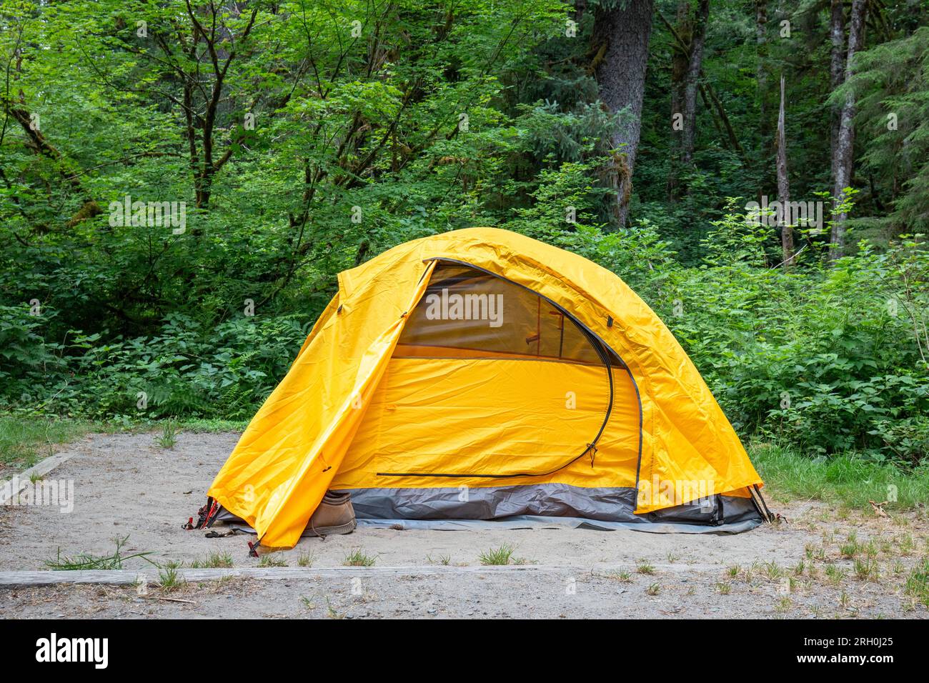 Person and tent hi-res stock photography and images - Alamy