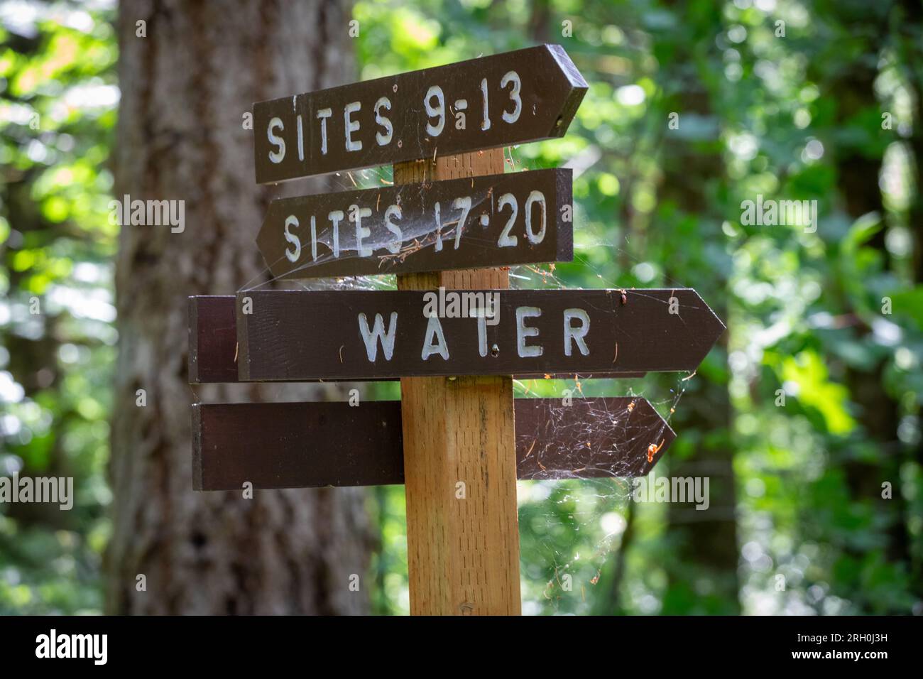 Brown arrow sign pointing to water source in campground Stock Photo - Alamy