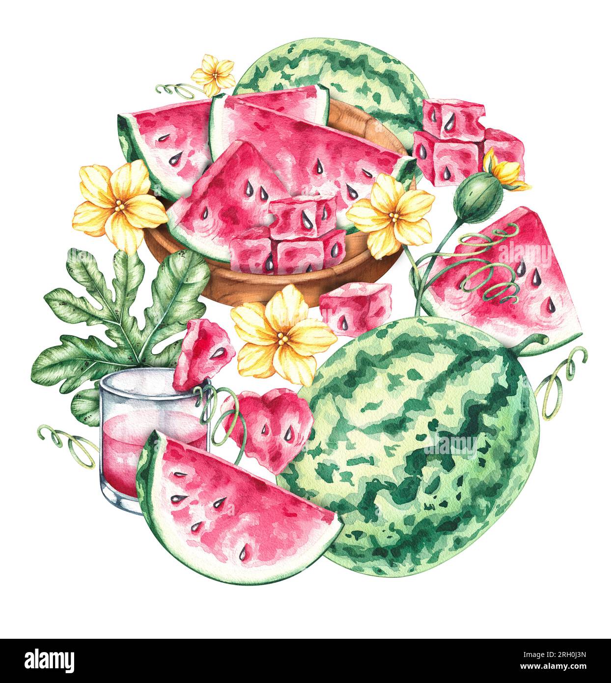 Watercolor hand drawn watermelon round background. Watermelon, dessert ...