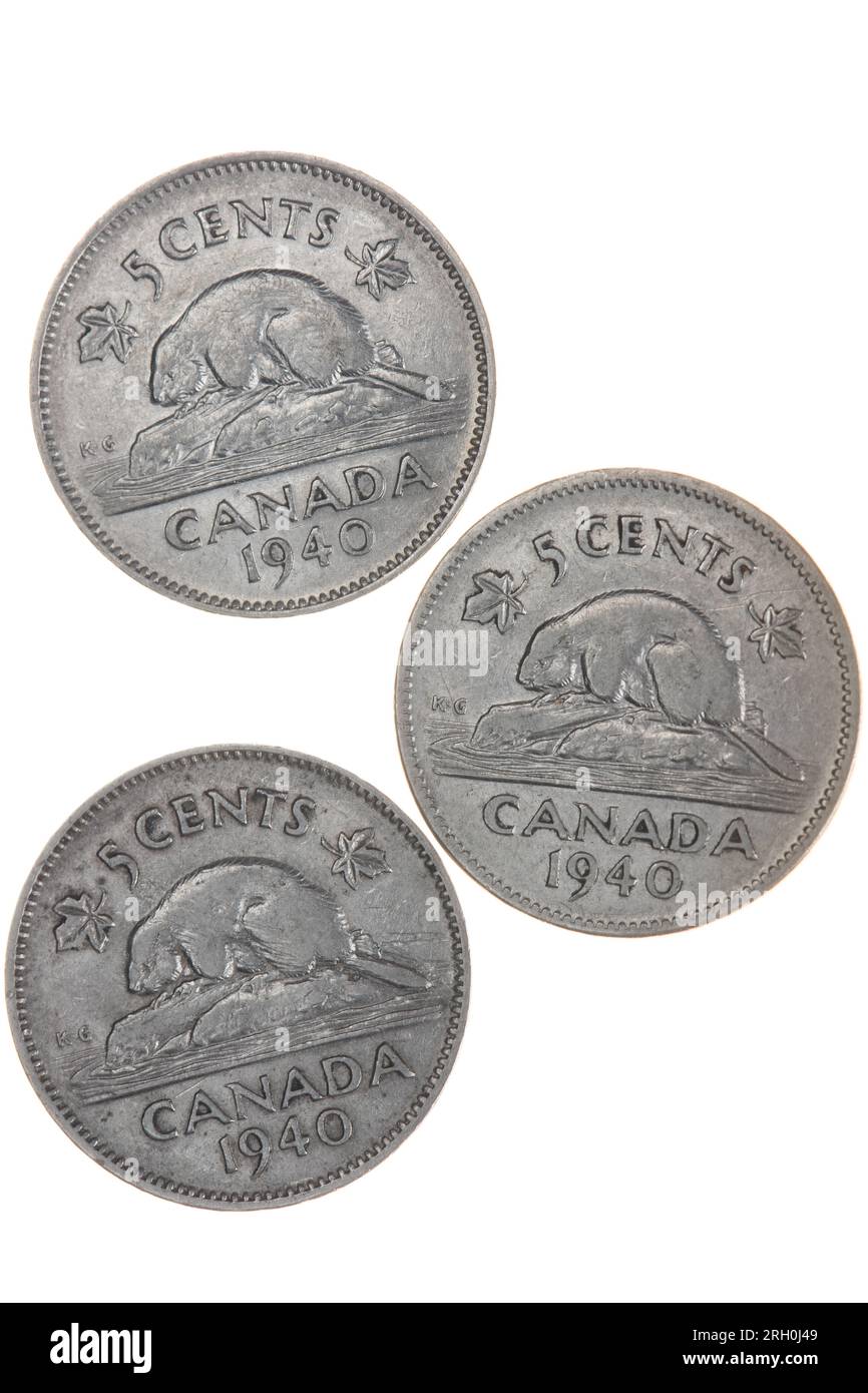 Three Canadian Nickels with the Beaver on back, dated 1940 Stock Photo ...