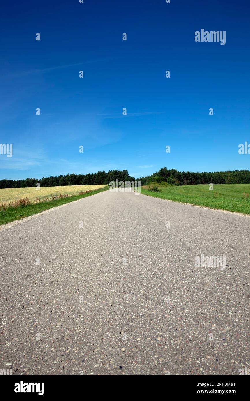 wheel ruts like a highway with a blue sky , a gravel rural highway ...