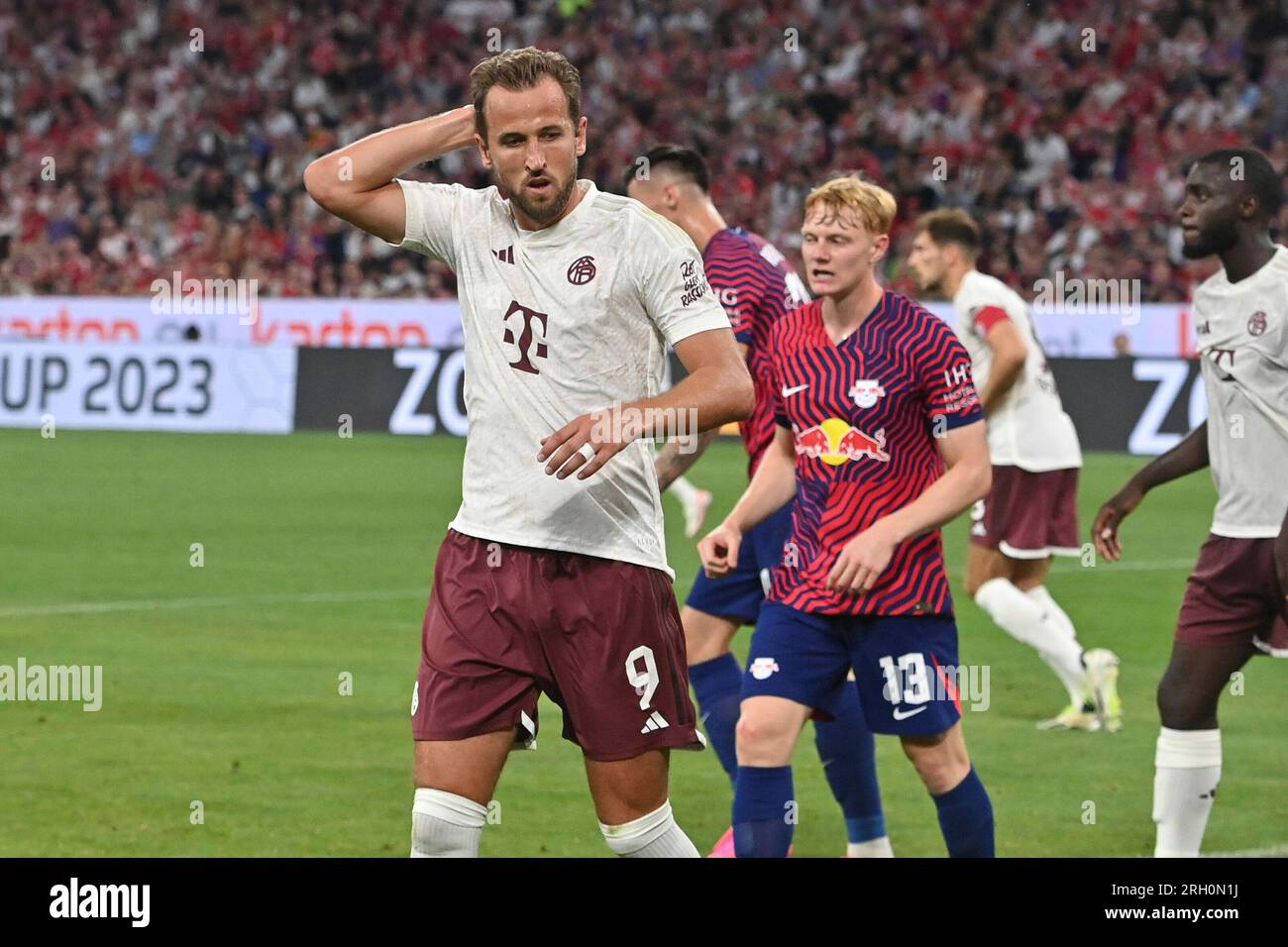Harry KANE (FC Bayern Munich), gesture, penalty area scene, action ...