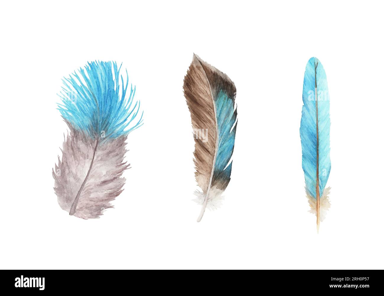 Vibrant wings Stock Vector Images - Alamy