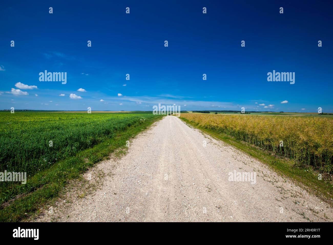 wheel ruts like a highway with a blue sky , a gravel rural highway ...