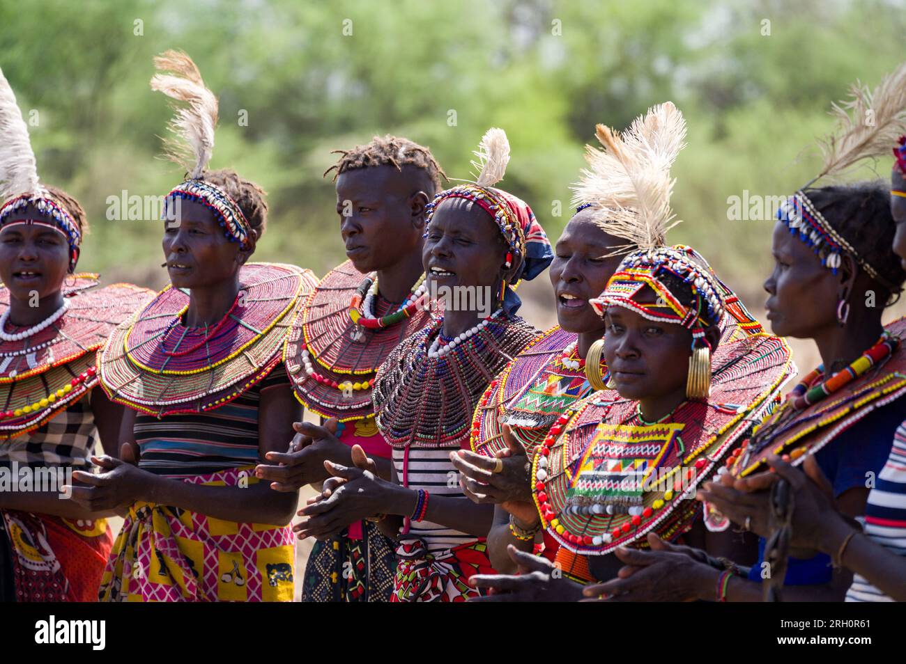 A group of Pokot women in traditional dress singing and dancing, Kenya ...