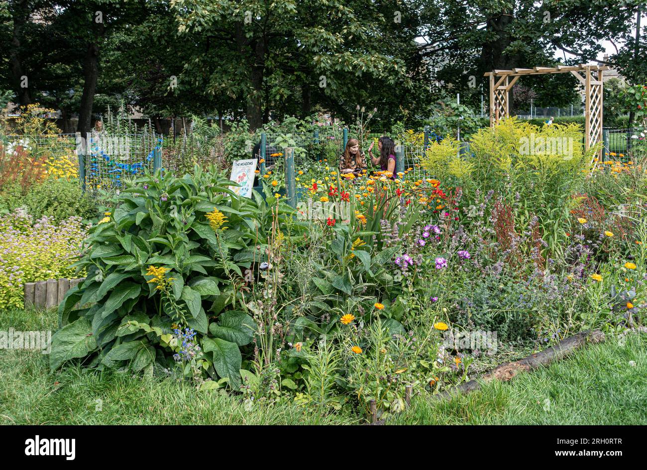 One of the community gardens in The Meadows Community Gardens, in ...