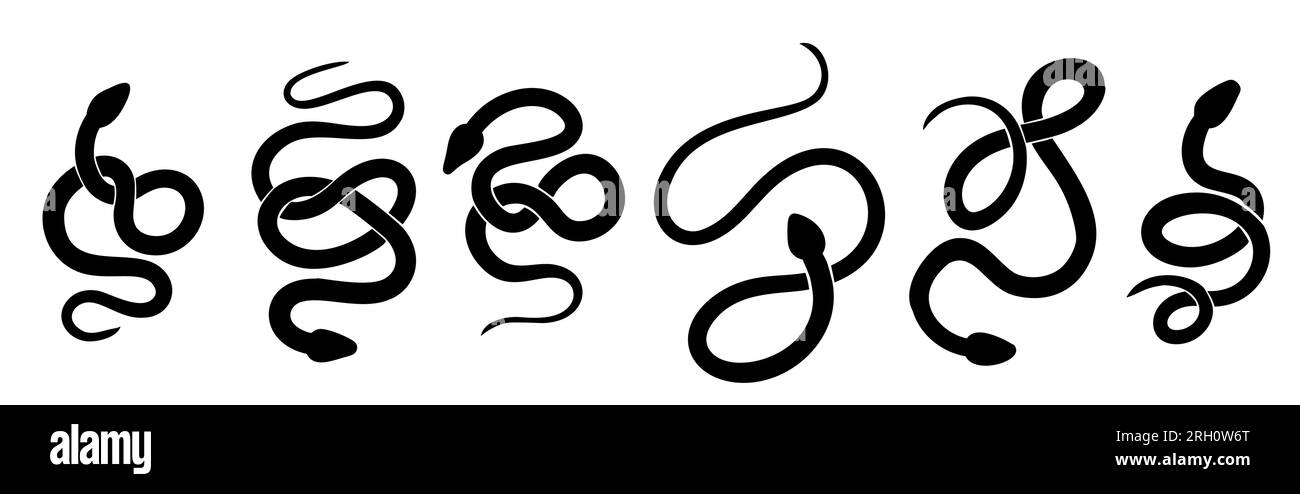 Vector set of black silhouettes of snakes in various poses. Collection ...