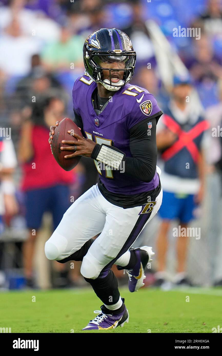 Baltimore Ravens quarterback Josh Johnson (17) passes against the ...