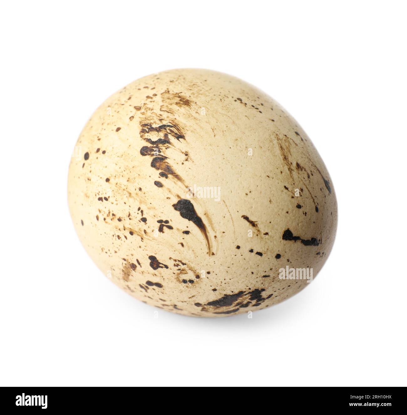 One speckled quail egg isolated on white Stock Photo - Alamy